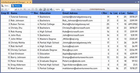 Ssrs Instrrev Function
