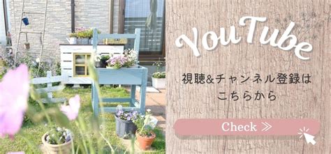 Hb 101は効果なしという口コミは本当？実際に使ったら結果がすごかった みゆ庭