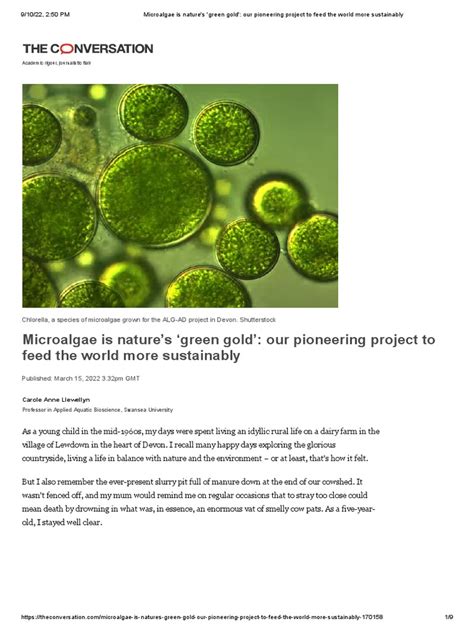 Group 4 Microalgae Is Natures Green Gold Our Pioneering Project To Feed The World More