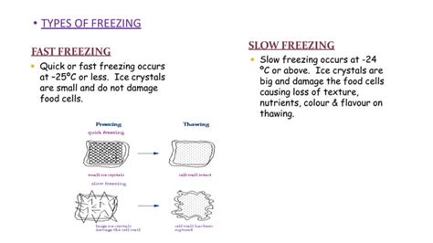 Freezing Curve Freezing System Freezing Time PPTX