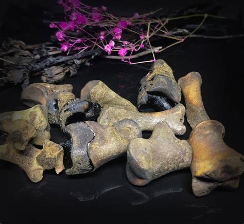 Weird Aged Knuckle Bone Set For Divination Throwing Bones Set Bones