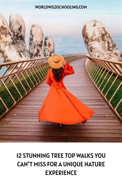 Beautiful Tree Top Walks To Experience Nature From A Whole New Angle