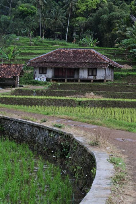 View Traditional House In Villages Of Sukabumi West Java Indonesia