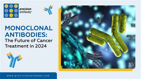 Monoclonal Antibodies The Future Of Cancer Treatment In 2024