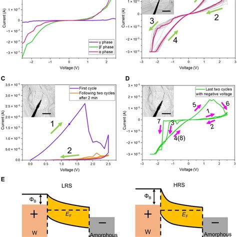 Electric Polarization Modulation And Memoristive Effects In 2d In 2 Se Download Scientific