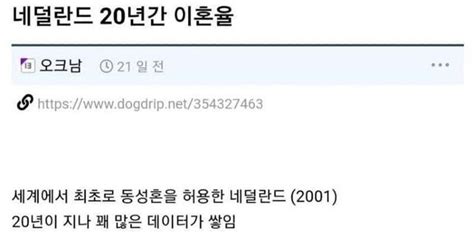 레즈비언 부부는 이혼율이높다