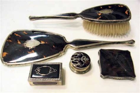 The Legal Ambiguities Of Turtle Shell Hess Fine Art