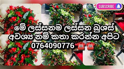 ගන්න බැරි උනාද එයාලා අවශ්‍ය අය කියන්න 0764090776 ☎️☎️ 0773927884☎️