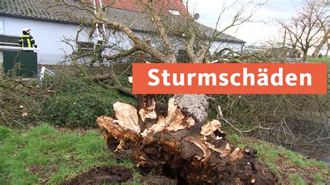 Sturmschäden Durch Unwetter In Nrw Sv Nachrichten Wdr