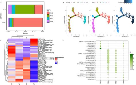 Comprehensive Analysis Of ScRNA Seq And Bulk RNA Seq Reveals Transcrip JIR