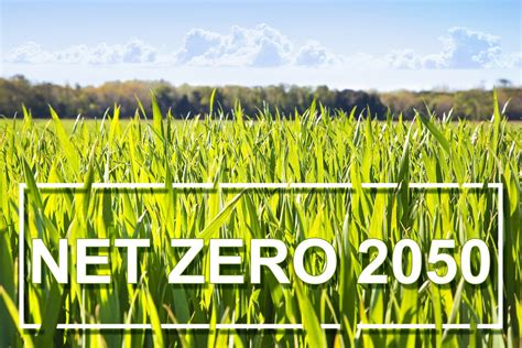 Transforming Construction The Road To Net Zero Emissions By 2050