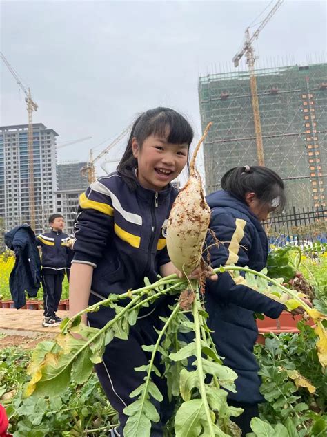 最美家乡推荐官之最美校园 在校园劳动中迎来春暖花开 纵横观察 新湖南