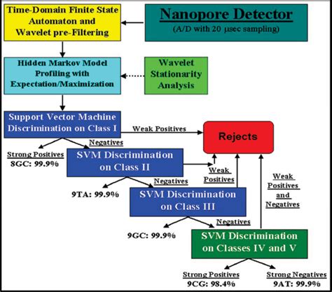 Classification Software Scheme And Data Flowchart In Real Time