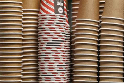 Biodegradable Cups 4 Eco Friendly Brands Compostable