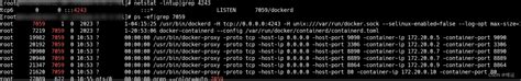 【docker漏洞】docker Api未授权导致rce Csdn博客