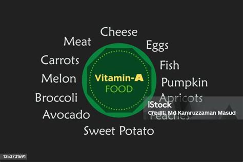비타민 A 타입 푸드 치즈 고기 계란 생선 당근 멜론 호박 브로콜리 살구 아보카도 설교 고구마 등 정보 그래픽 배경 디자인 0명에 대한 스톡 벡터 아트 및 기타 이미지