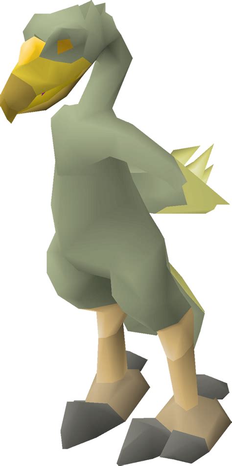 Terrorbird Guard 21 Osrs Wiki