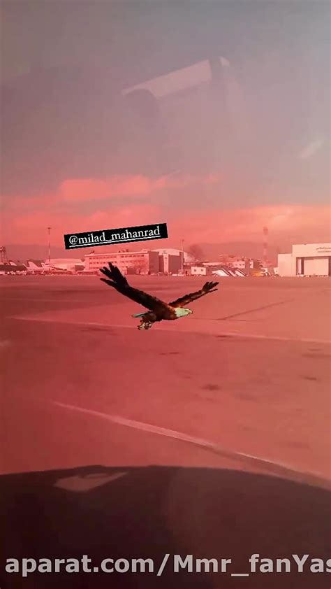 استوری علی یاسینی