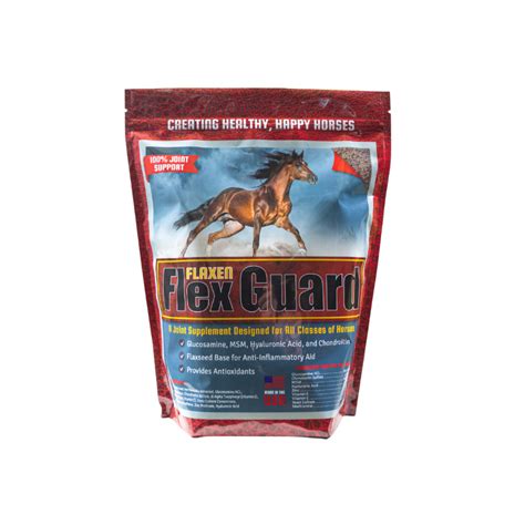 Protect Your Horses Joints With Flaxen Flex Guard Horse Guard
