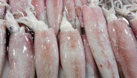 Pusit Kalawang Frozen 1kg Kitchen Convenience Ingredients