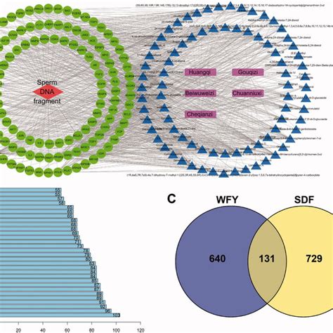 A Network Diagram Of Herb Component Target SDF Interactions In The