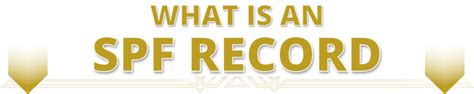 All Things Spf Records Which Plays A Crucial Role In Email Marketing