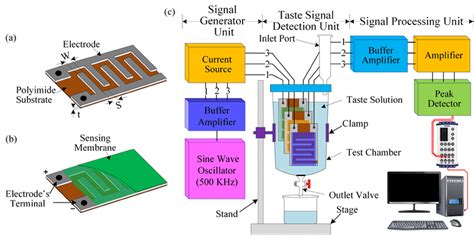 Schematic Diagram Of The Bitter Sensing System A Interdigitated