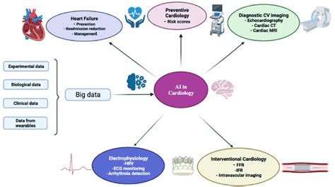 Diagrammatic Representation Showing The Various Applications Of