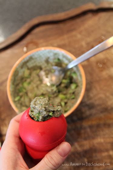 How To Get Your Dog To Eat Their Vegetables Ammo The Dachshund
