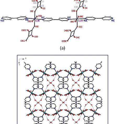 A The 2d Layered Mof Of Co Mof B The 3d Supramolecular Network
