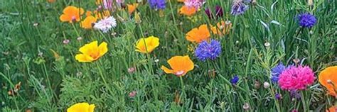 Mary Schrunk Bsky Social On Bluesky