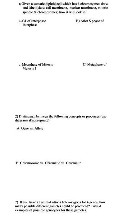 solved vgiven somatic diploid cell which has chromosoncs draw and