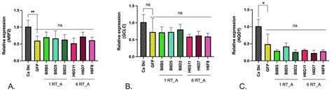 Hiv 1 Reverse Transcriptase Expression In Hpv16 Infected Epidermoid Carcinoma Cells Alters E6