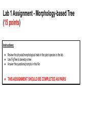 Lab Morphology Tree Pdf Lab Assignment Morphology Based Tree Points Instructions