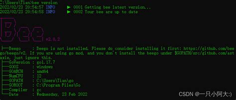 go框架beego安装并简单使用以及遇到的问题 running application outside of gopath csdn博客