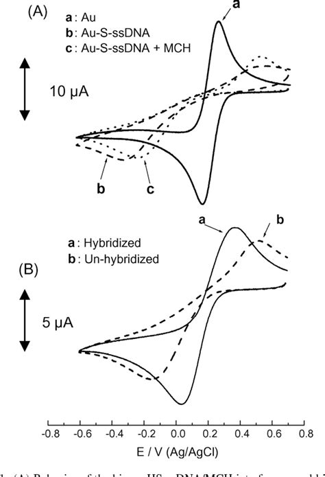 Figure 2 From Label Free Electrochemical Dna Hybridization Discrimination Effects At The Binary