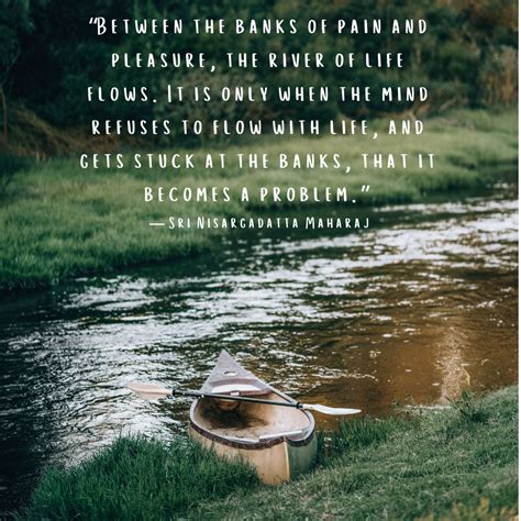68 Go With The Flow Quotes For Riding The Wave Of Life