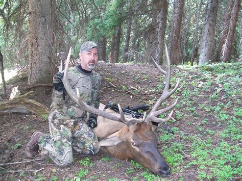 Otc Archery Bull Colorado Elk And Mule Deer Hunting Action Adventures