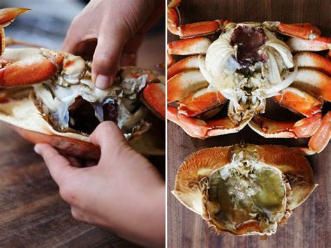 How To Pick A Crab Like A Pro Huffpost Life