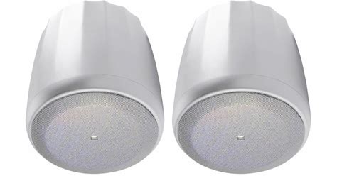 Jbl Control Ps T W Passive Pendant Subwoofer C Ps T Wh