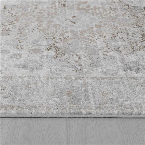Tapis Décoratif Dintérieur Sakarya De Rug Branch 8 X 11 Pi Moderne