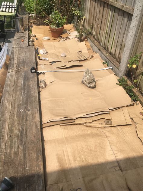 Ideas For A Bougie Indoor And Outdoor Tortoise Enclosure And Tortoise