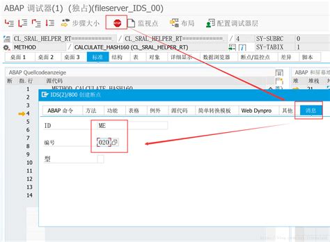 作为sap顾问都应该知道的abap程序调试方法 sap message m7234 csdn博客