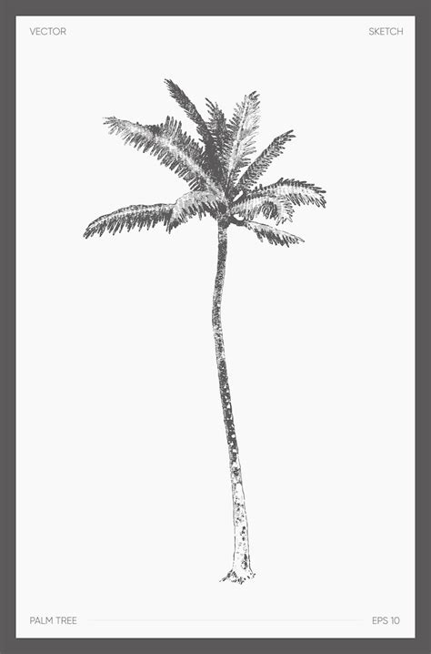 Premium Vector High Detail Hand Drawn Vector Illustration Of Palm