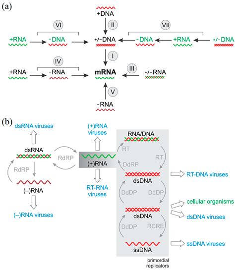 Recent Advances In Dna Nanotechnology Enabled Biosensors For Virus Detection