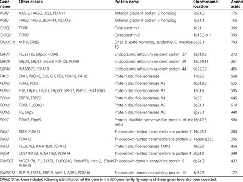 Human Pdi Genes As Listed In The Human Gene Nomenclature Committee