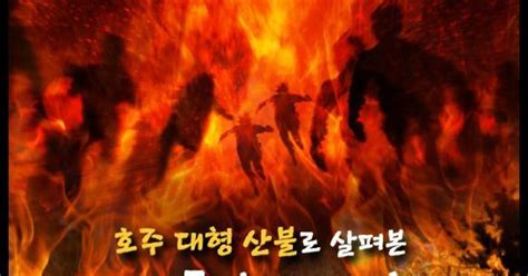 카드뉴스 호주 대형 산불로 살펴본 지구를 놀라게 한 대형 화재 10건