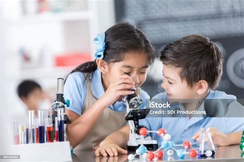 初級實驗室合作夥伴在顯微鏡下學習某物 照片檔及更多 Stem 主題 照片 Stem 主題 亞洲和印度人 享受 Istock