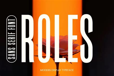 Free Roles Modern Sans Serif Font Free Ui Resources