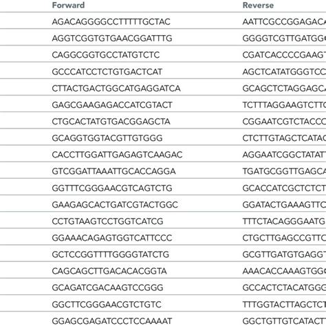 Quantitative Pcr Primer Sequence For Gene Download Scientific Diagram